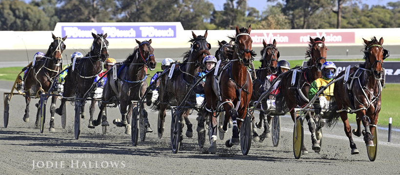 Contact Us – BOTRA